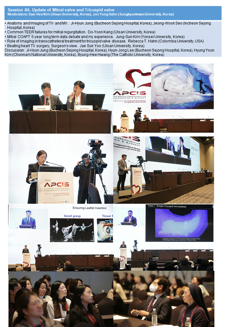 Gallery - APCIS 2023 Adult Cardiology Photos